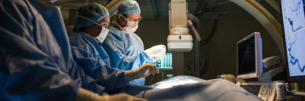 Beyond the Clot: Understanding the Role of Collateral Circulation in ...